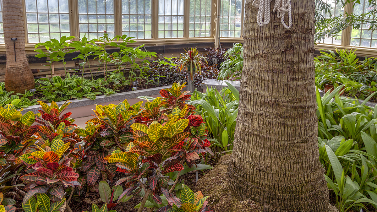 The Howard Peters Rawlings Conservatory and Botanic Gardens | The ...