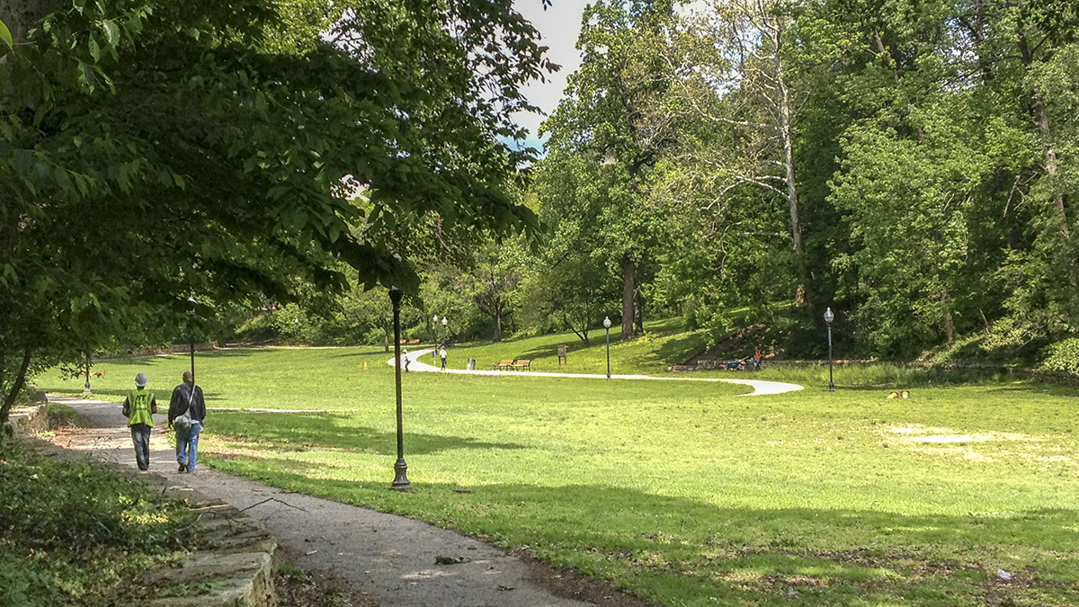 Wyman Park Dell | The Cultural Landscape Foundation