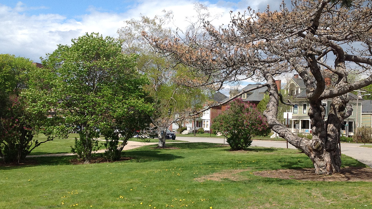 Western Promenade | The Cultural Landscape Foundation