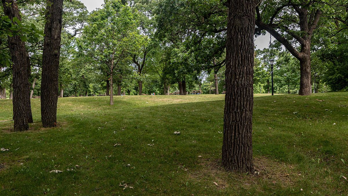Como Park | The Cultural Landscape Foundation