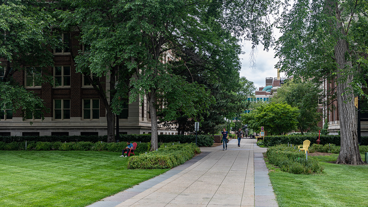Northrop Mall - University of Minnesota | The Cultural Landscape Foundation
