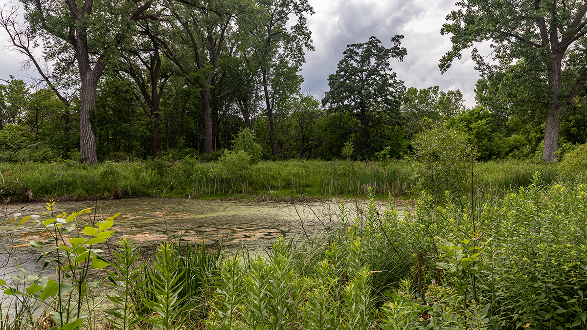 Coldwater Spring / Fort Snelling | The Cultural Landscape Foundation