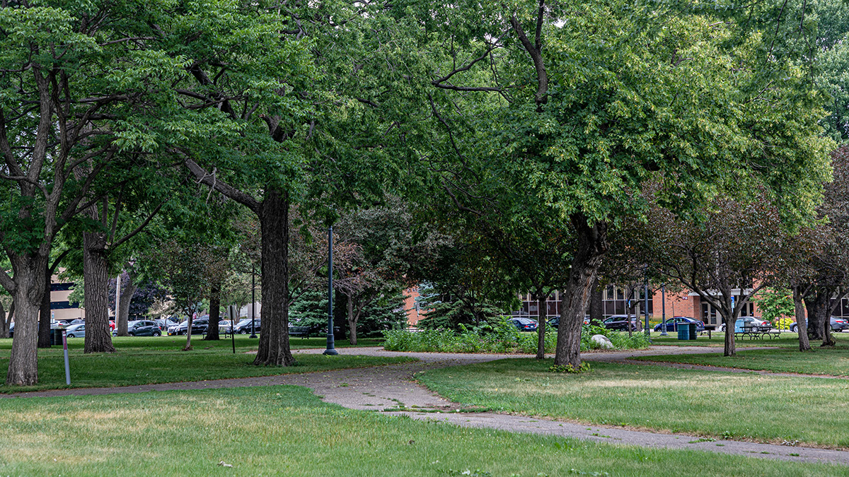 Murphy Square | The Cultural Landscape Foundation