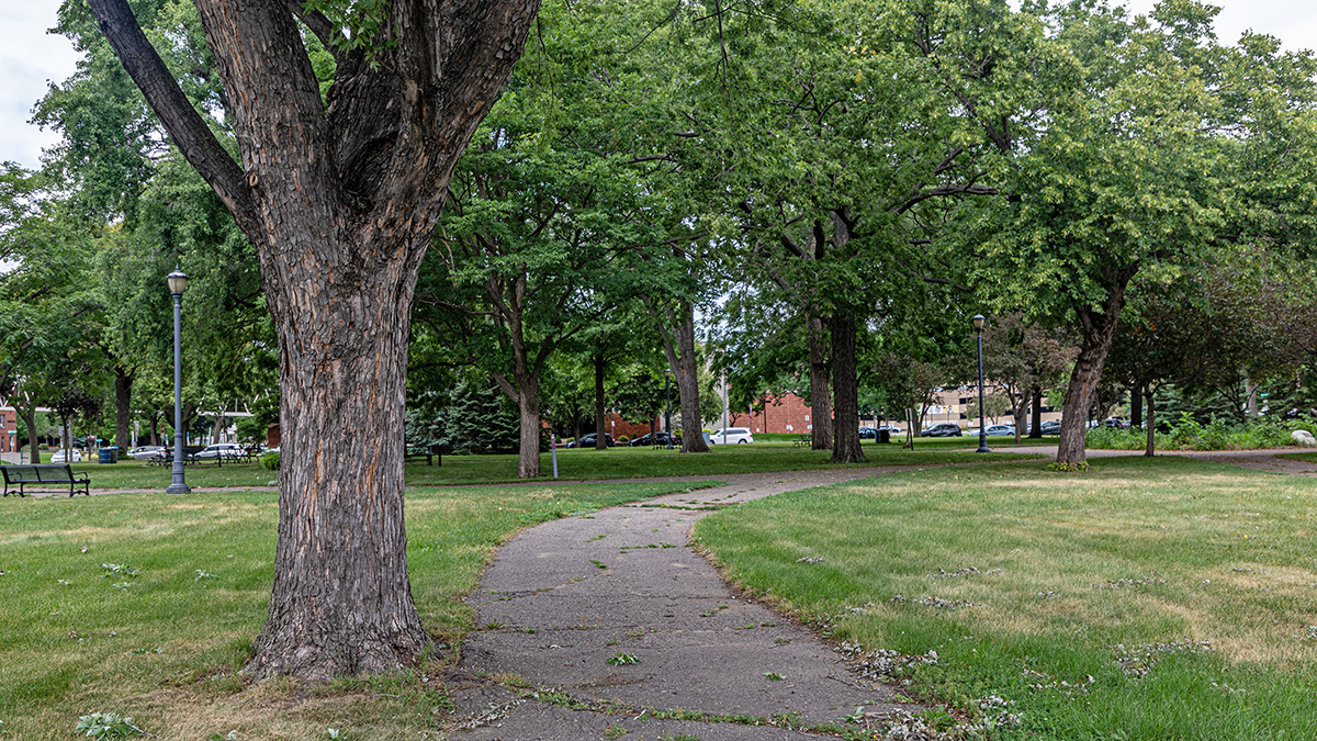Murphy Square | The Cultural Landscape Foundation