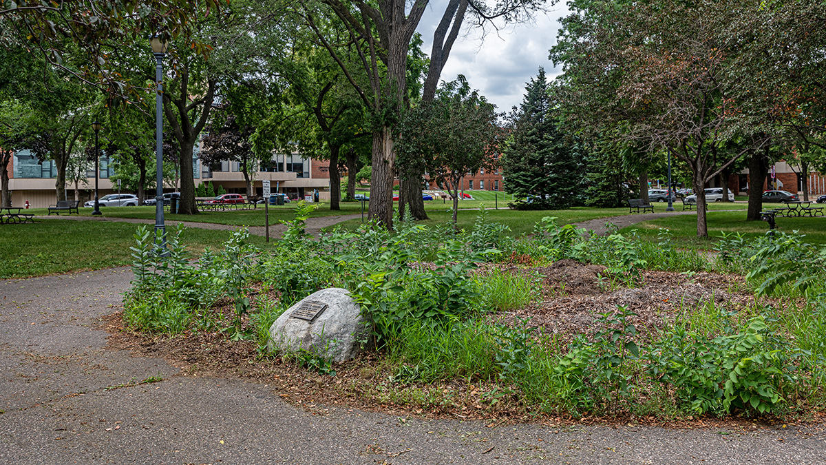 Murphy Square | The Cultural Landscape Foundation