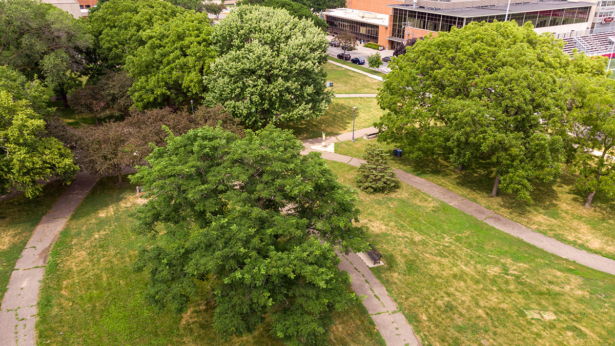 Murphy Square | The Cultural Landscape Foundation