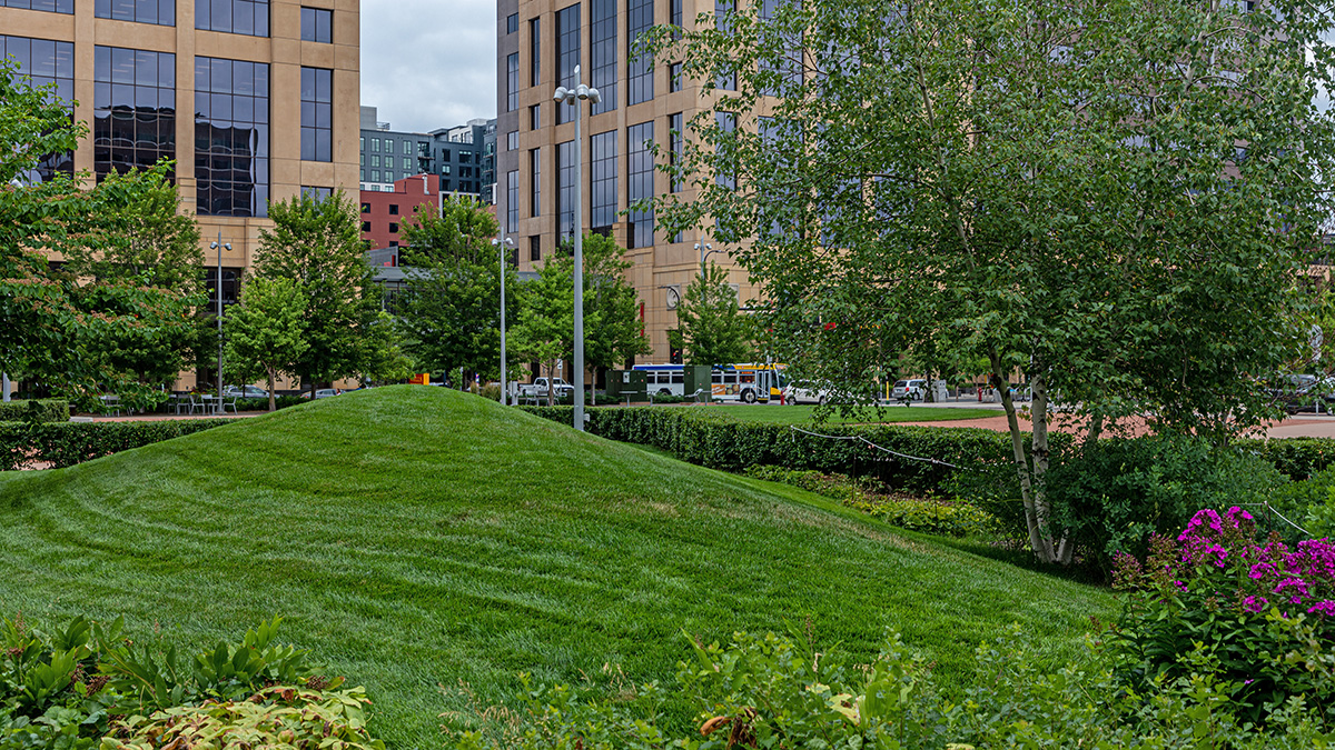 The Commons | The Cultural Landscape Foundation