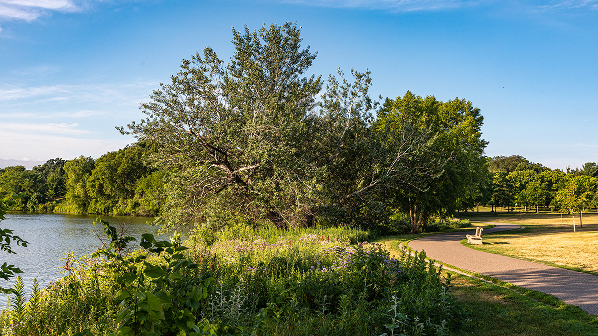 Como Lakeside Pavilion | The Cultural Landscape Foundation