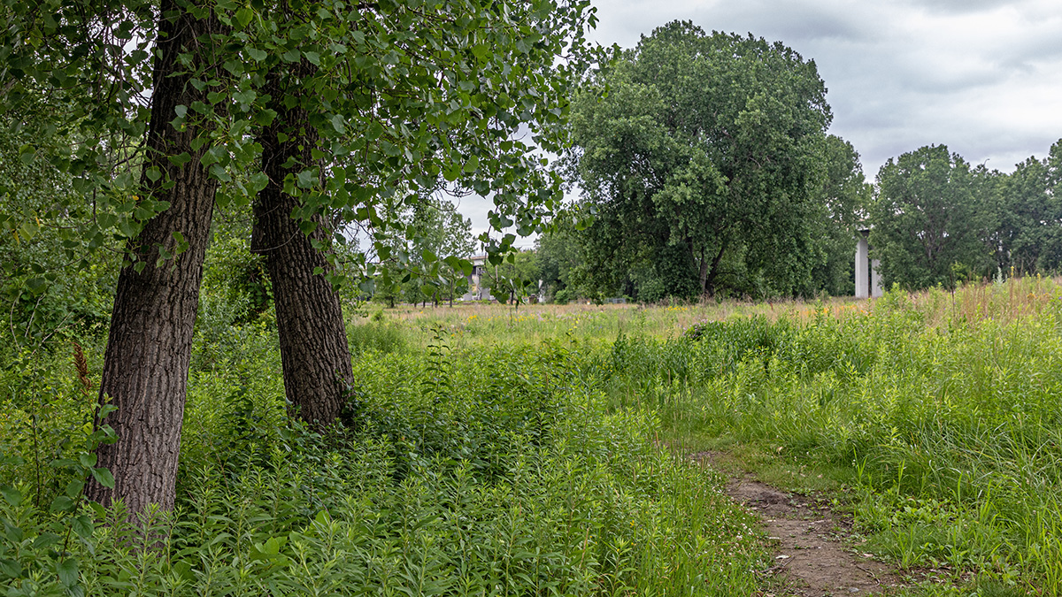Bruce Vento Nature Sanctuary | The Cultural Landscape Foundation