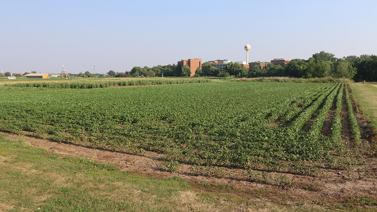 University of Minnesota - St. Paul Campus | The Cultural Landscape ...
