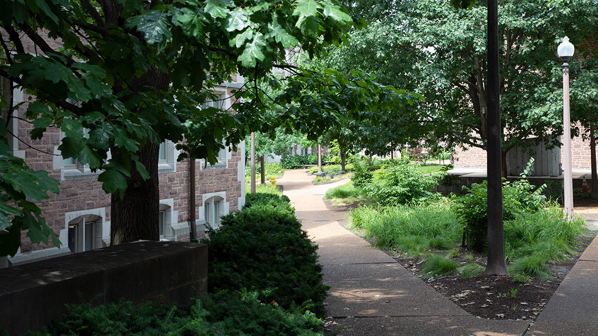 Washington University in St. Louis - Danforth Campus | The Cultural ...