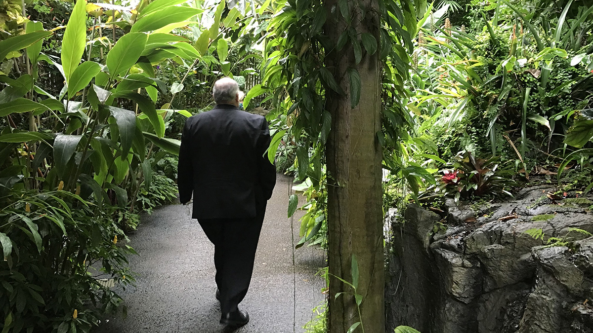 Missouri Botanical Garden - Climatron | The Cultural Landscape Foundation