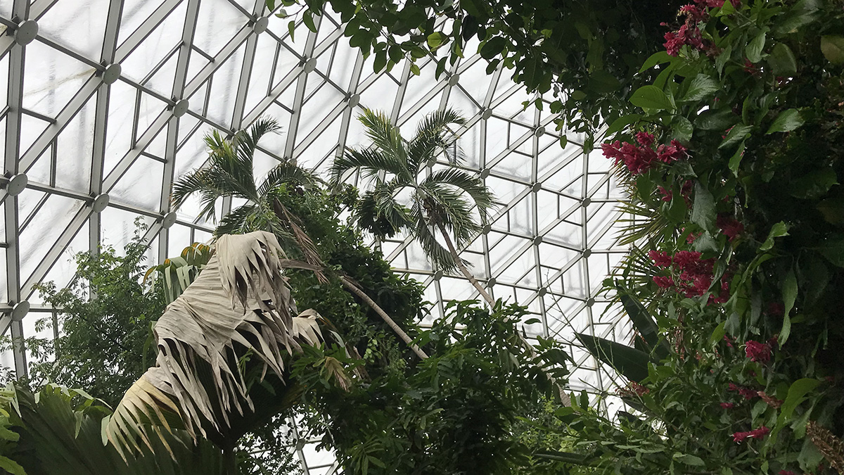 Missouri Botanical Garden - Climatron | The Cultural Landscape Foundation