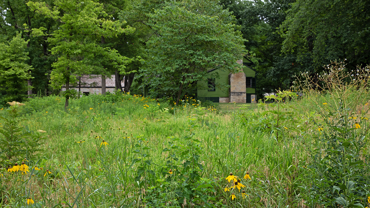 Ulysses S. Grant National Historic Site | The Cultural Landscape Foundation