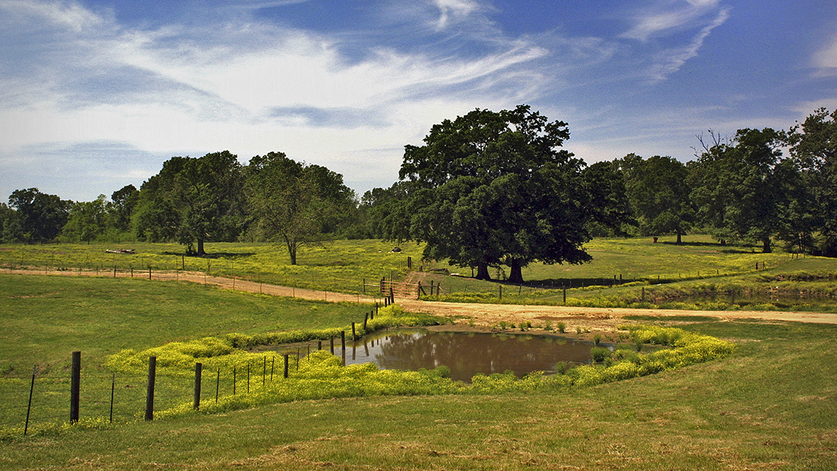Alcorn State University | The Cultural Landscape Foundation