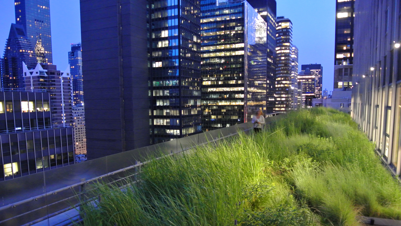 Garden Dialogues: New York Metro Area | The Cultural Landscape Foundation