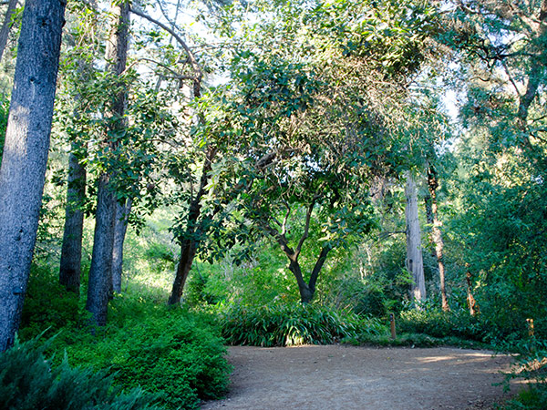 Mildred E. Mathias Botanical Garden | The Cultural Landscape Foundation Mildred E. Mathias Botanical Garden | The Cultural Landscape Foundation