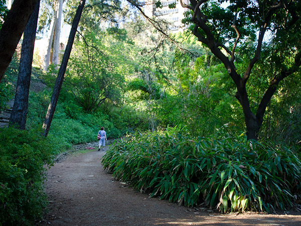 Mildred E. Mathias Botanical Garden | The Cultural Landscape Foundation Mildred E. Mathias Botanical Garden | The Cultural Landscape Foundation