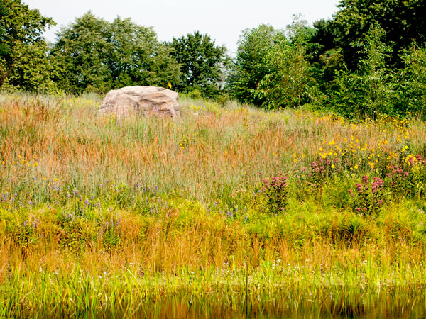 New York Botanical Garden - Native Plant Garden | The Cultural ...