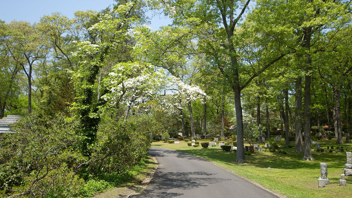 Memorial Cemetery of St. John's Church | The Cultural Landscape Foundation