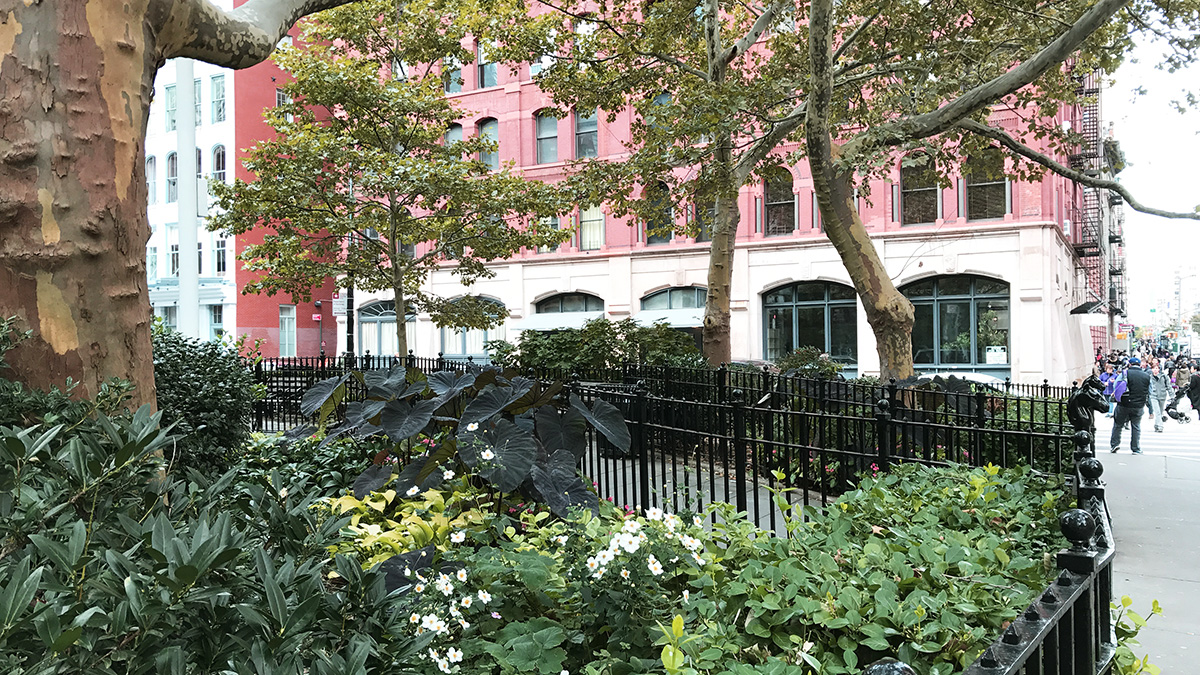 Duane Park | The Cultural Landscape Foundation