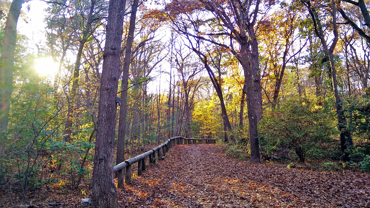 Forest Park - NY | The Cultural Landscape Foundation