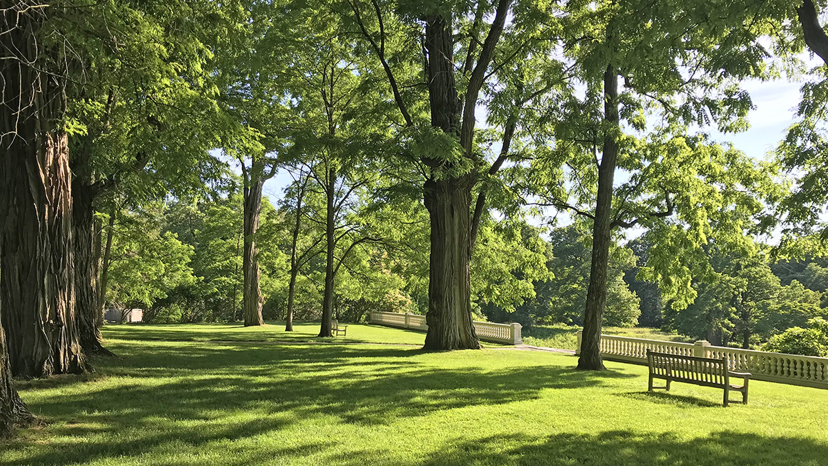 Andrew Jackson Downing | The Cultural Landscape Foundation