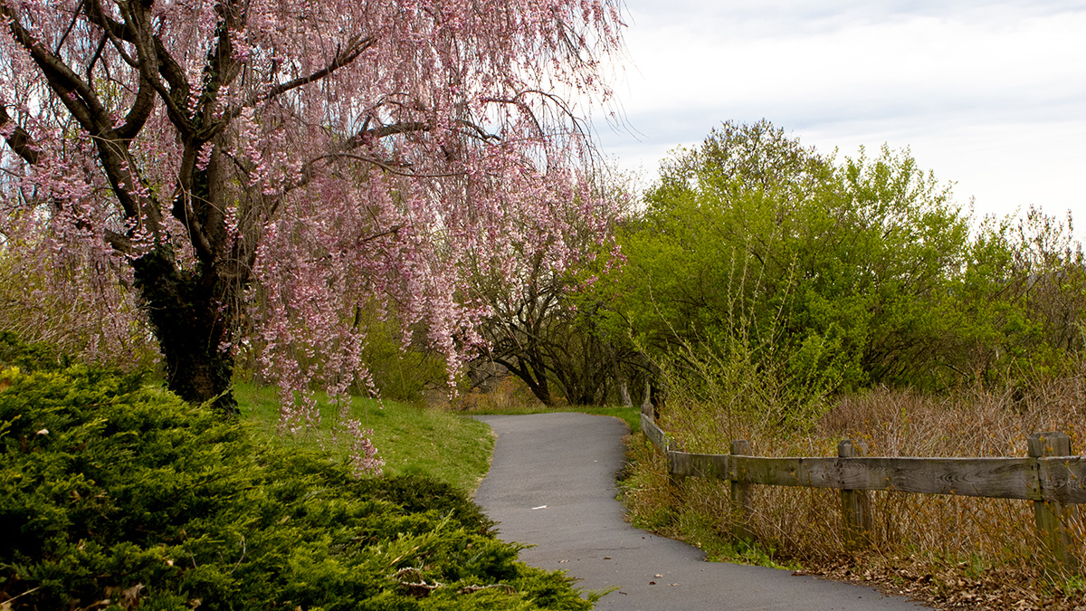 Highland Park-Rochester, NY | The Cultural Landscape Foundation
