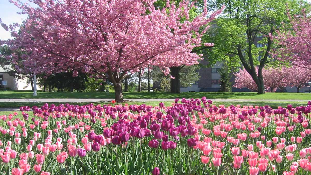 Highland Park-Rochester, NY | The Cultural Landscape Foundation