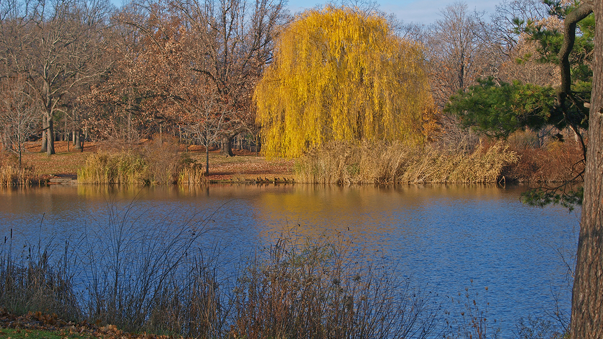 Seneca Park - NY | The Cultural Landscape Foundation