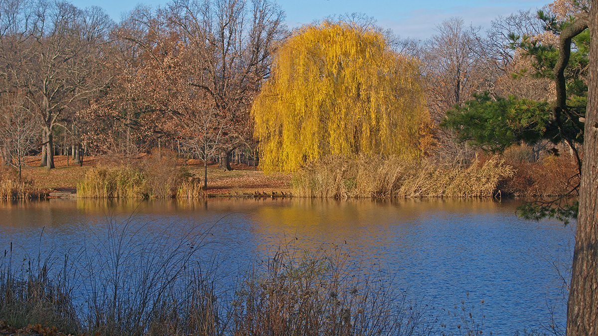 Rochester Parks System | The Cultural Landscape Foundation