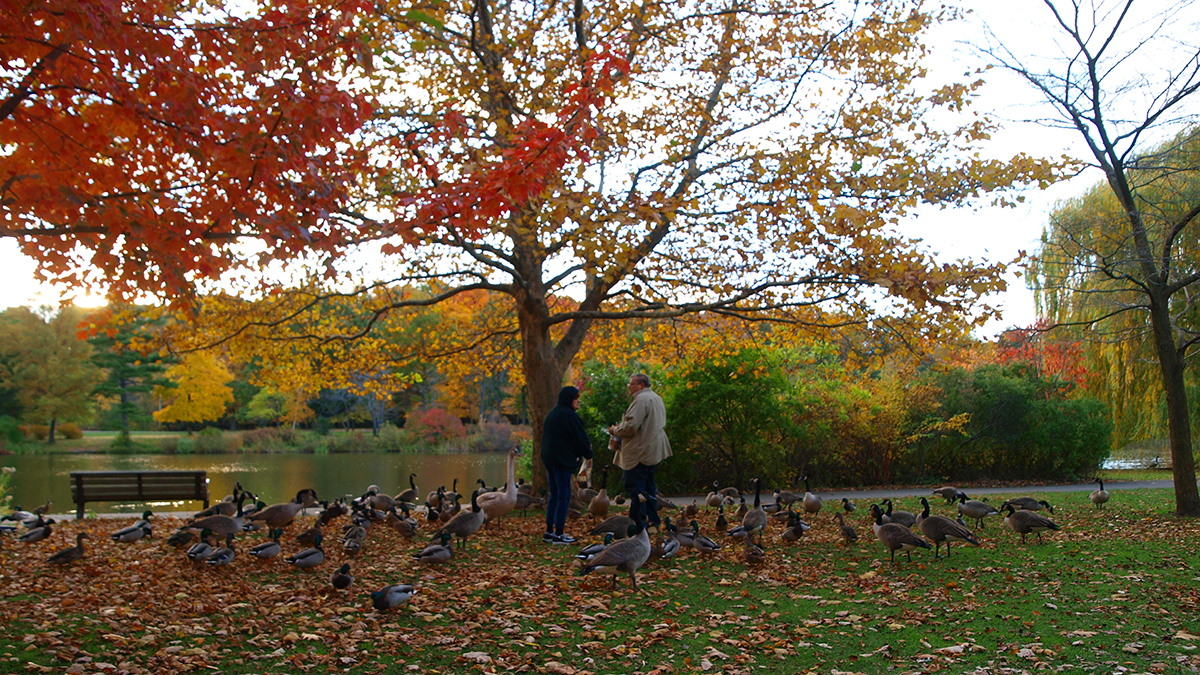 Seneca Park - NY | The Cultural Landscape Foundation