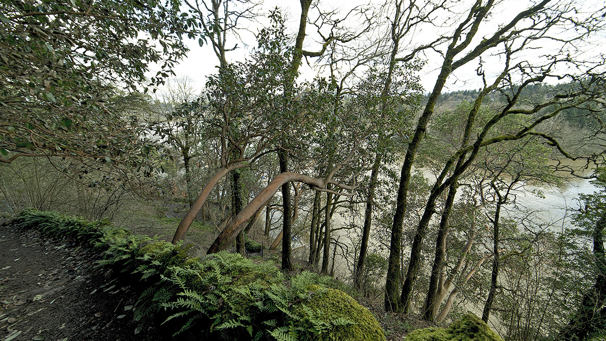 Elk Rock Garden at the Bishop’s Close | The Cultural Landscape Foundation