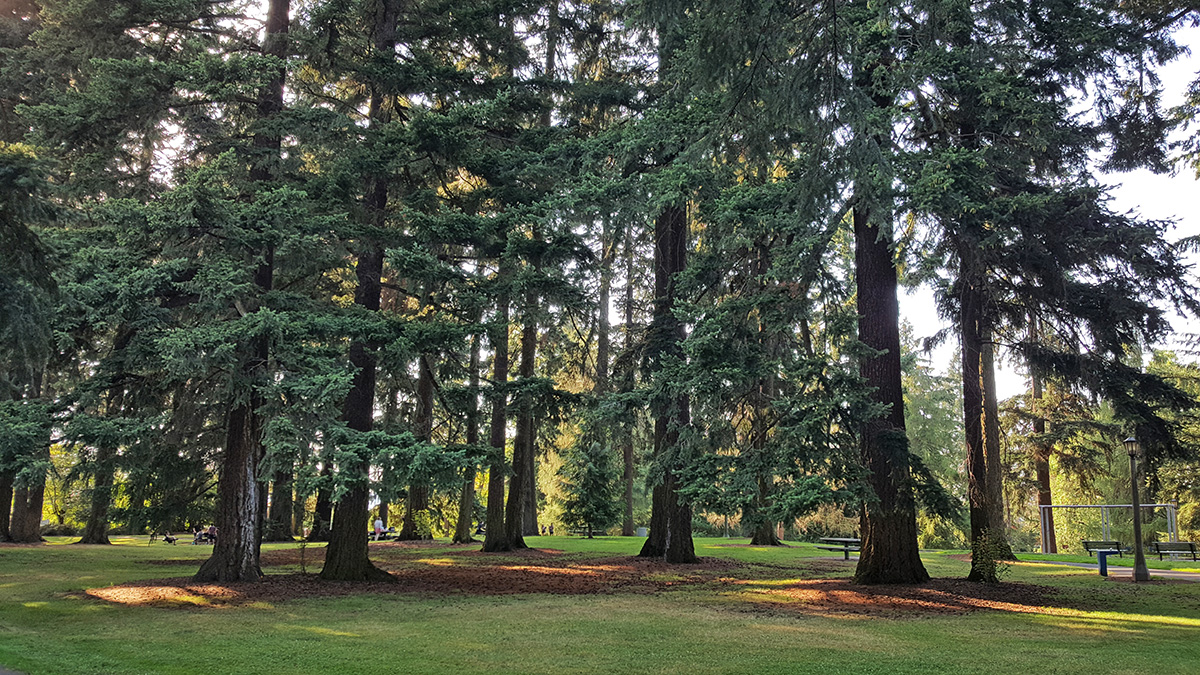 Portland Park System | The Cultural Landscape Foundation