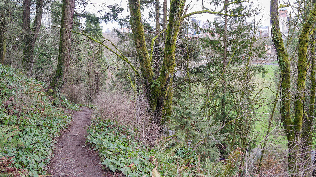 Terwilliger Parkway | The Cultural Landscape Foundation