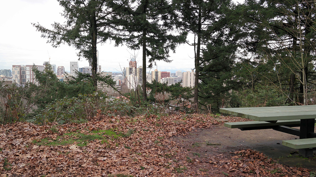 Terwilliger Parkway | The Cultural Landscape Foundation