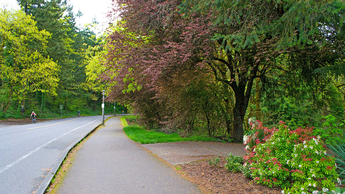Terwilliger Parkway | The Cultural Landscape Foundation