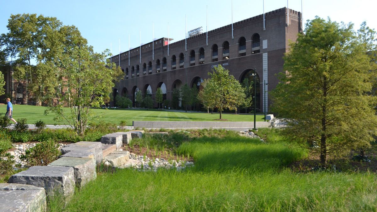 Sir Peter Shepheard | The Cultural Landscape Foundation