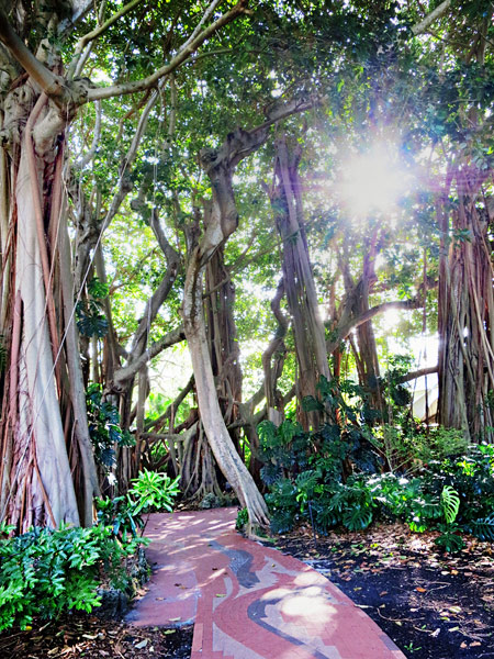 Pinecrest Gardens | The Cultural Landscape Foundation