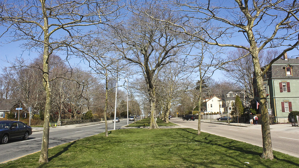 Newport City Plan | The Cultural Landscape Foundation