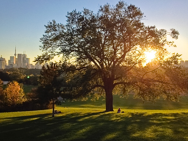 Riverdale Park | The Cultural Landscape Foundation