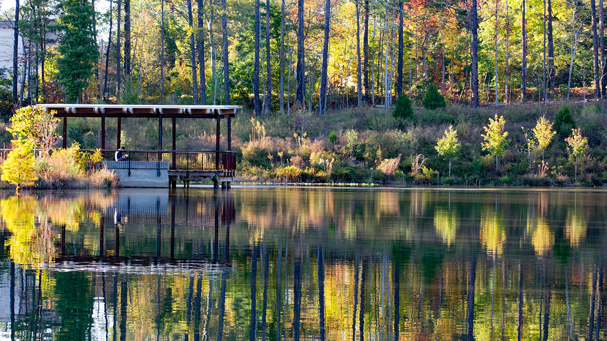 Sarah P. Duke Gardens | The Cultural Landscape Foundation