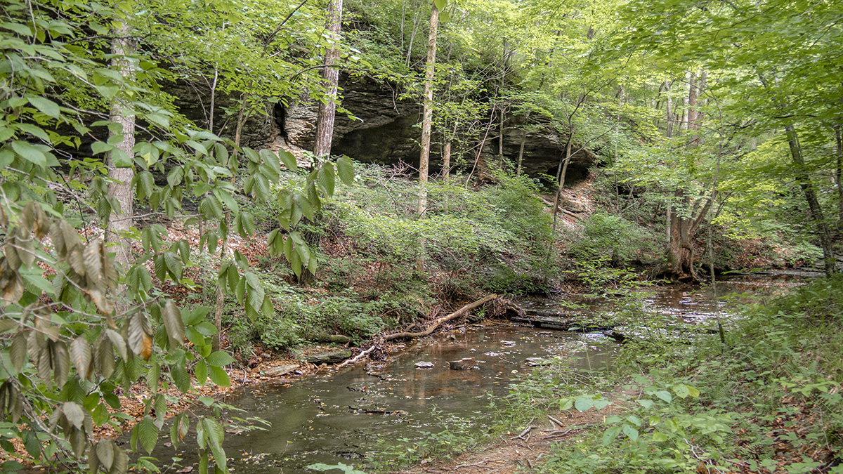 Beaman Park | The Cultural Landscape Foundation