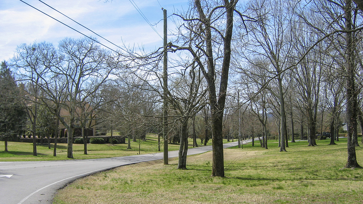 Belle Meade | The Cultural Landscape Foundation
