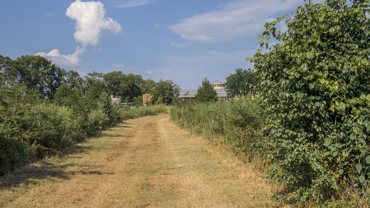 Bells Bend Park | The Cultural Landscape Foundation