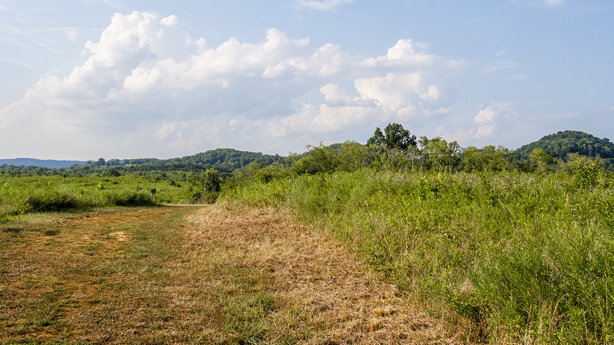 Bells Bend Park | The Cultural Landscape Foundation