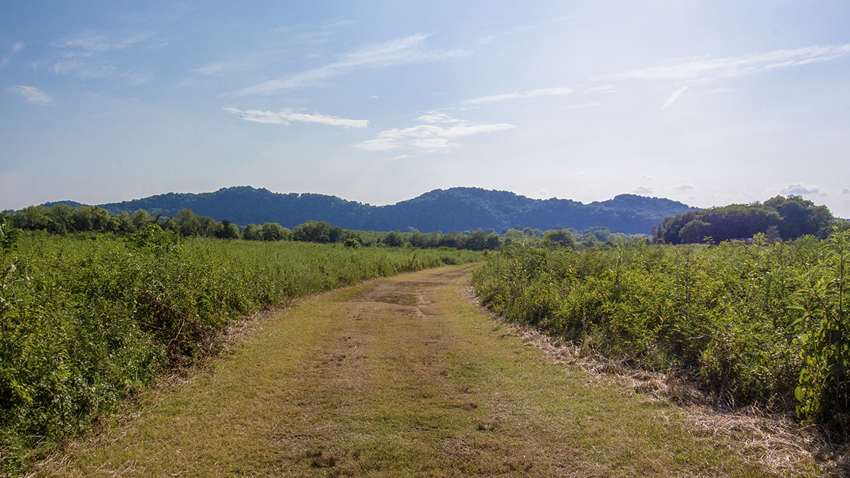 Bells Bend Park | The Cultural Landscape Foundation
