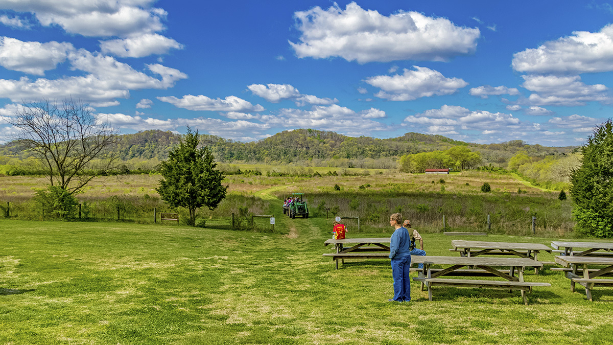 Bells Bend Park | The Cultural Landscape Foundation