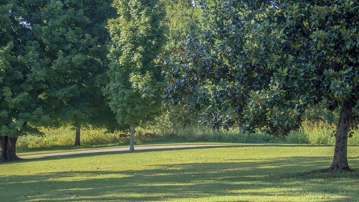 Tulip Grove Mansion | The Cultural Landscape Foundation