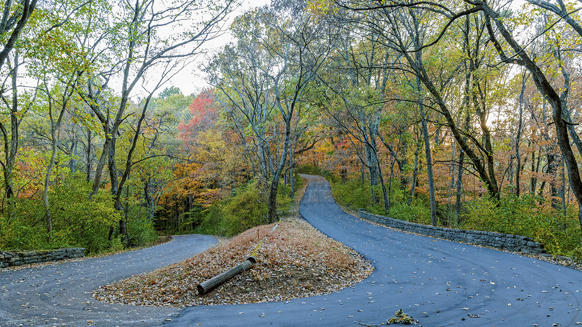 Warner Parks | The Cultural Landscape Foundation